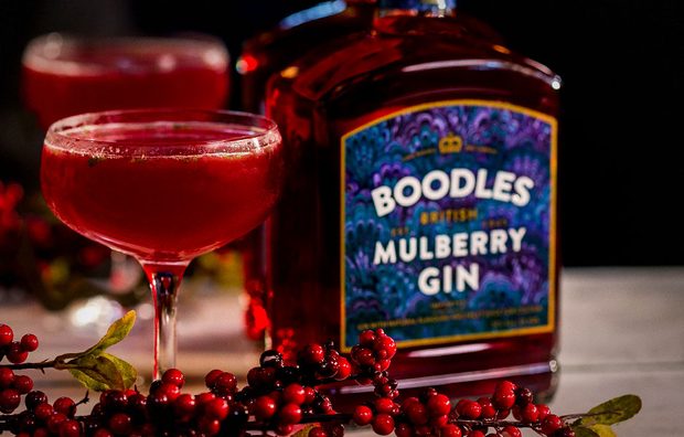 You’re missing out if you’re not drinking these 5 gins - The Manual