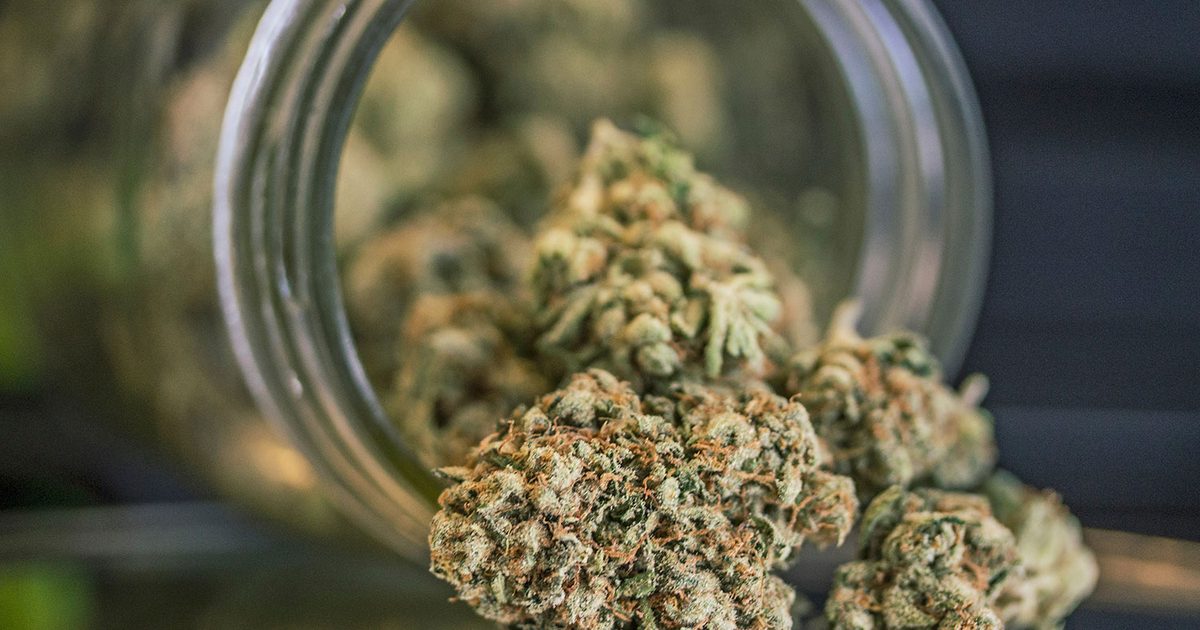 The Best Weed Strains for Budding Cannasseurs - The Manual