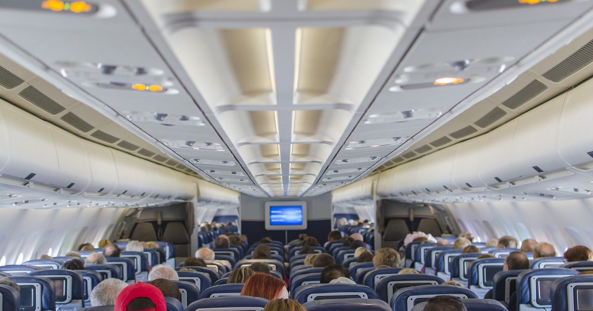 Main cabin vs. basic economy: What's the best choice? - The Manual