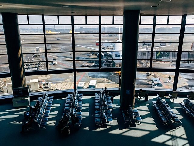 Main cabin vs. basic economy: What's the best choice? - The Manual