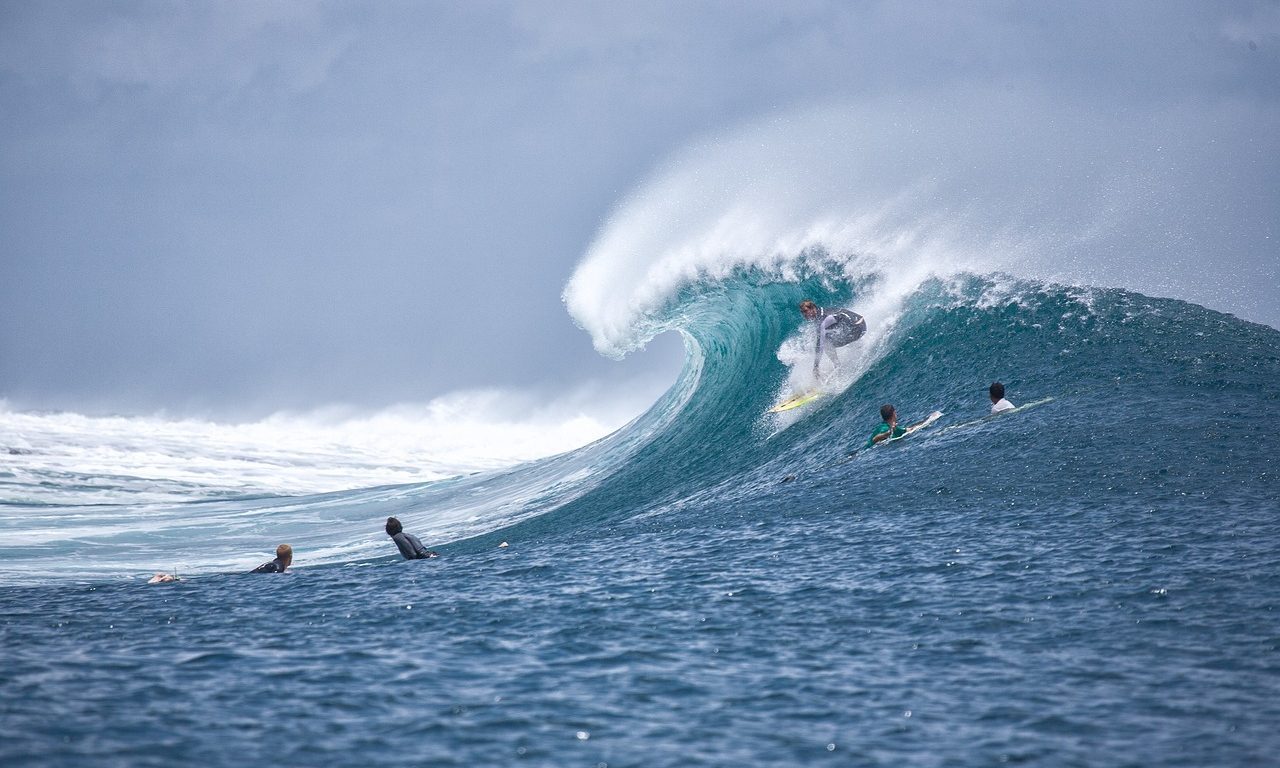 What Muscles Does Surfing Work? A Full-Body Breakdown of the Surfer’s ...