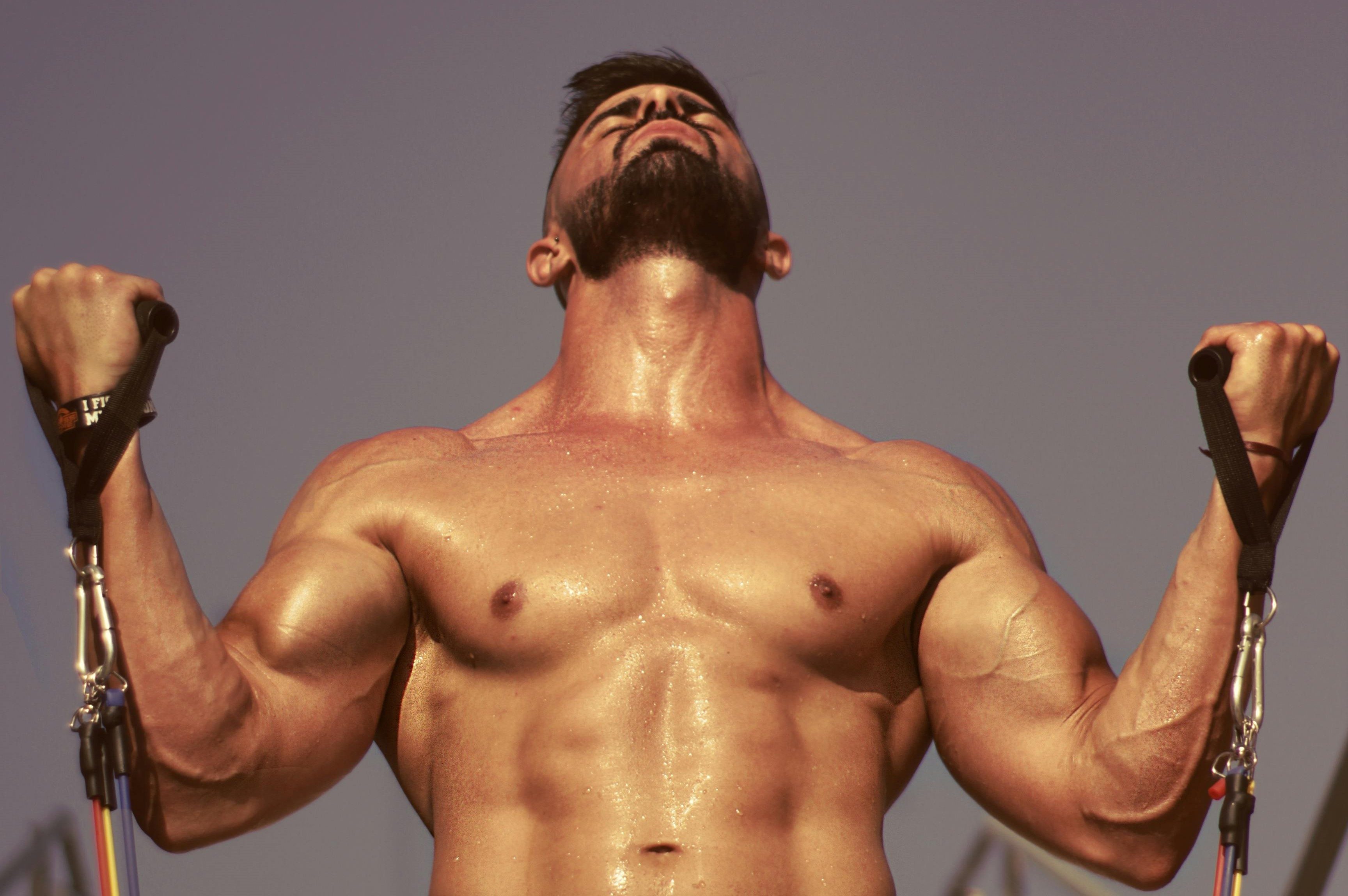 Long head vs. short head bicep training guide - The Manual