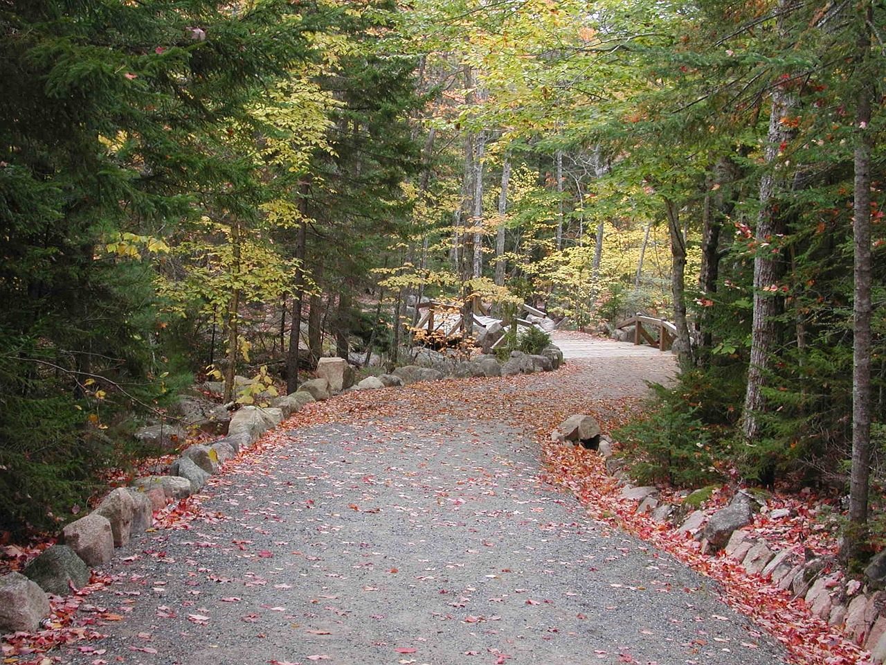 How to See Peak Fall Foliage in Acadia National Park: Dates, Trails ...