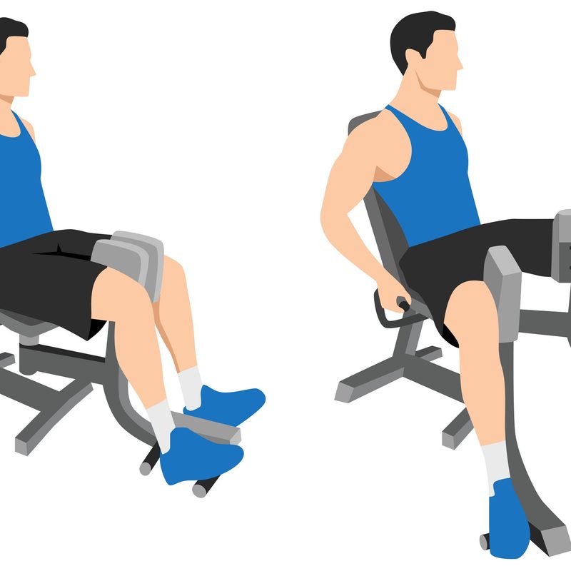 The best adductor exercises for strong legs - The Manual