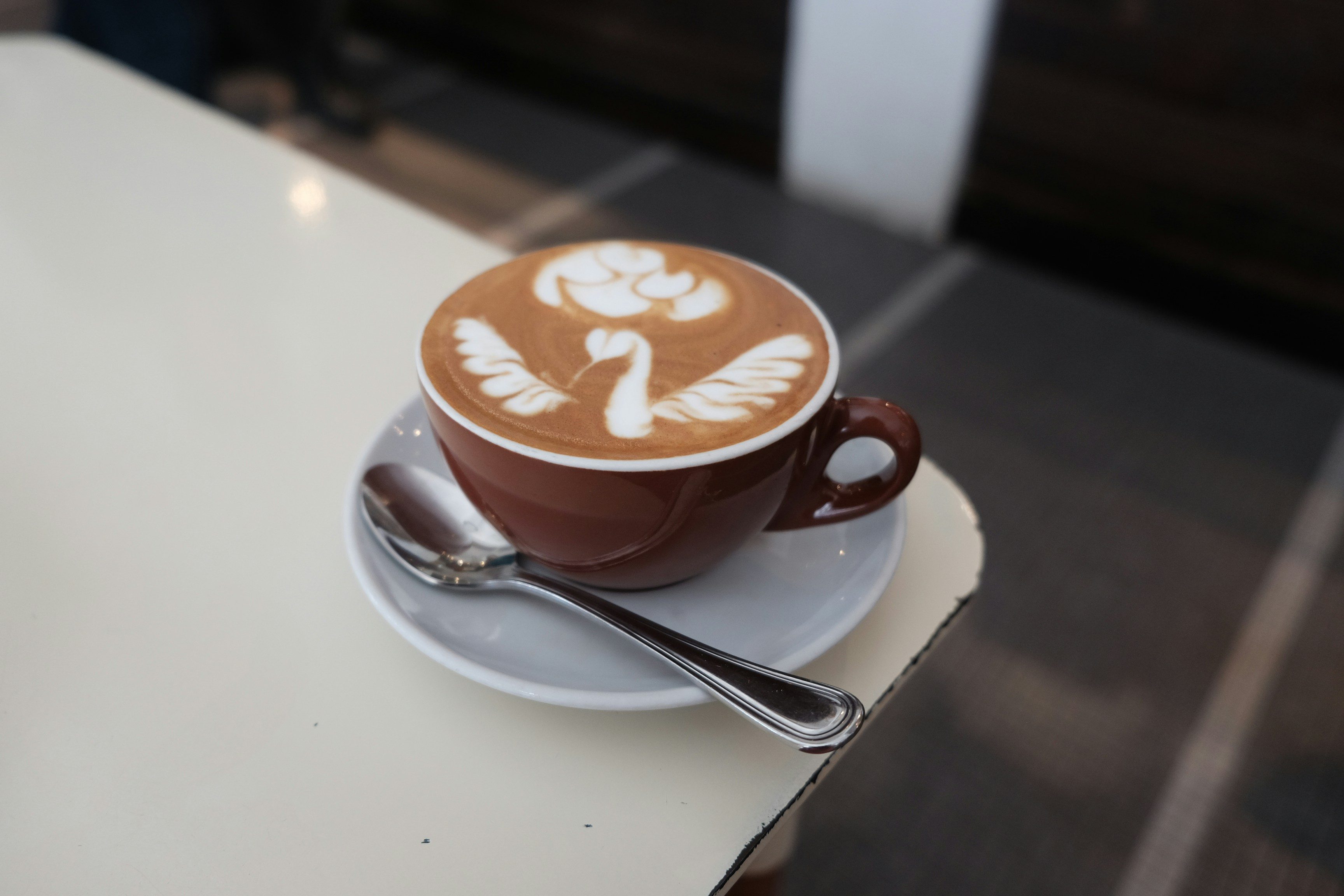 Cortado vs Cappuccino: What are the key differences? - The Manual