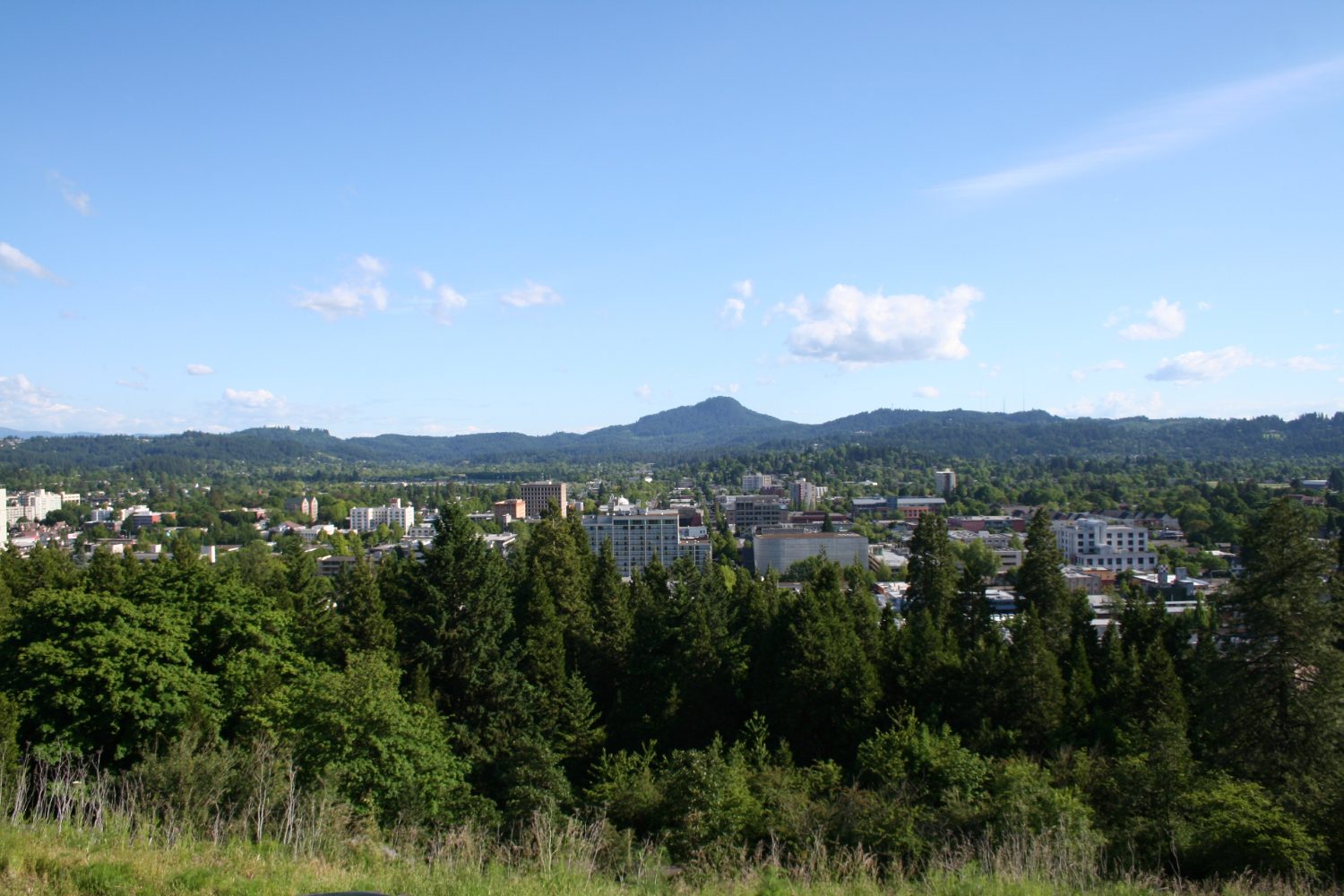 The best restaurants in Eugene, Oregon - The Manual