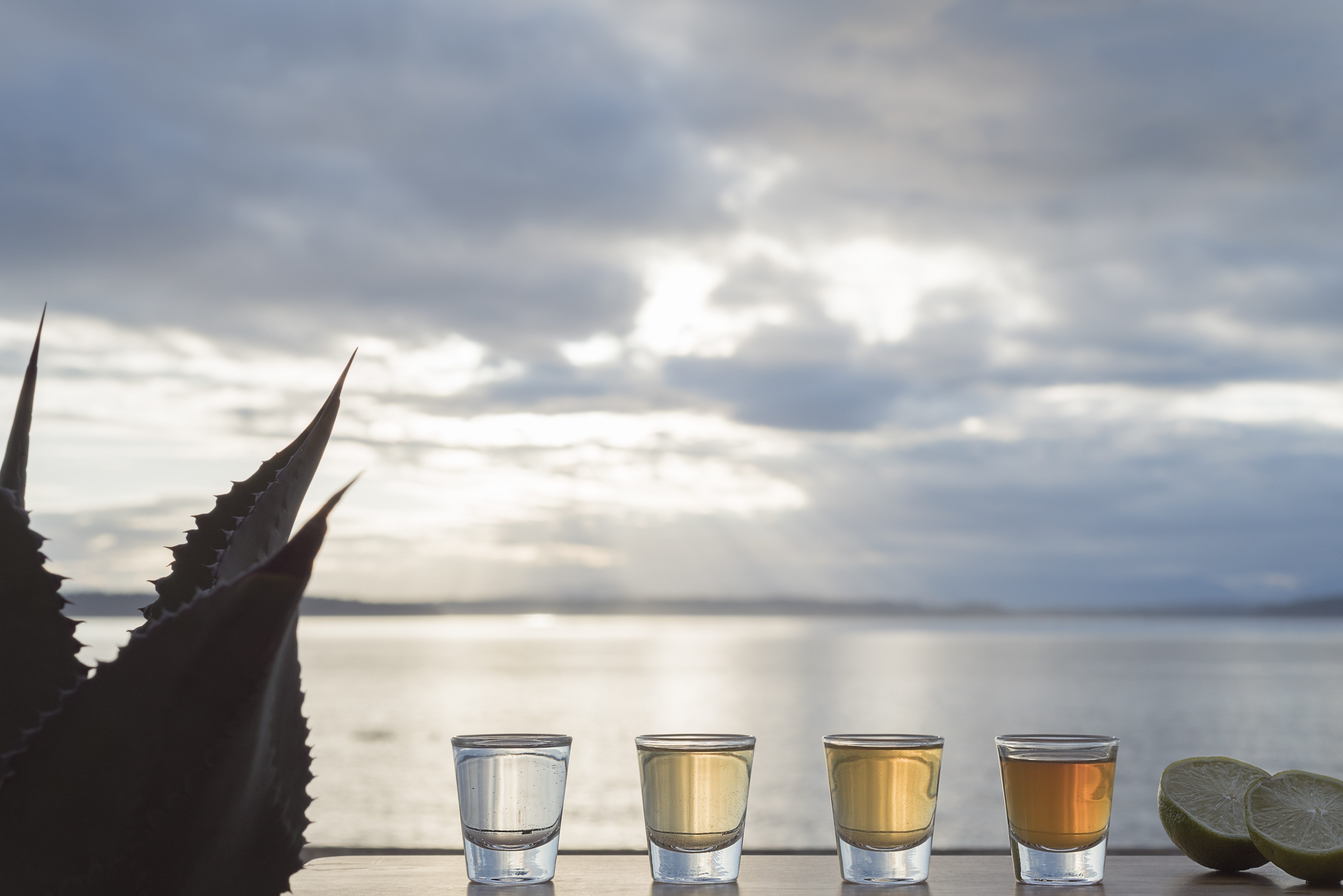 Top Expensive Tequilas: 5 Premium Bottles Worth the Investment - The Manual