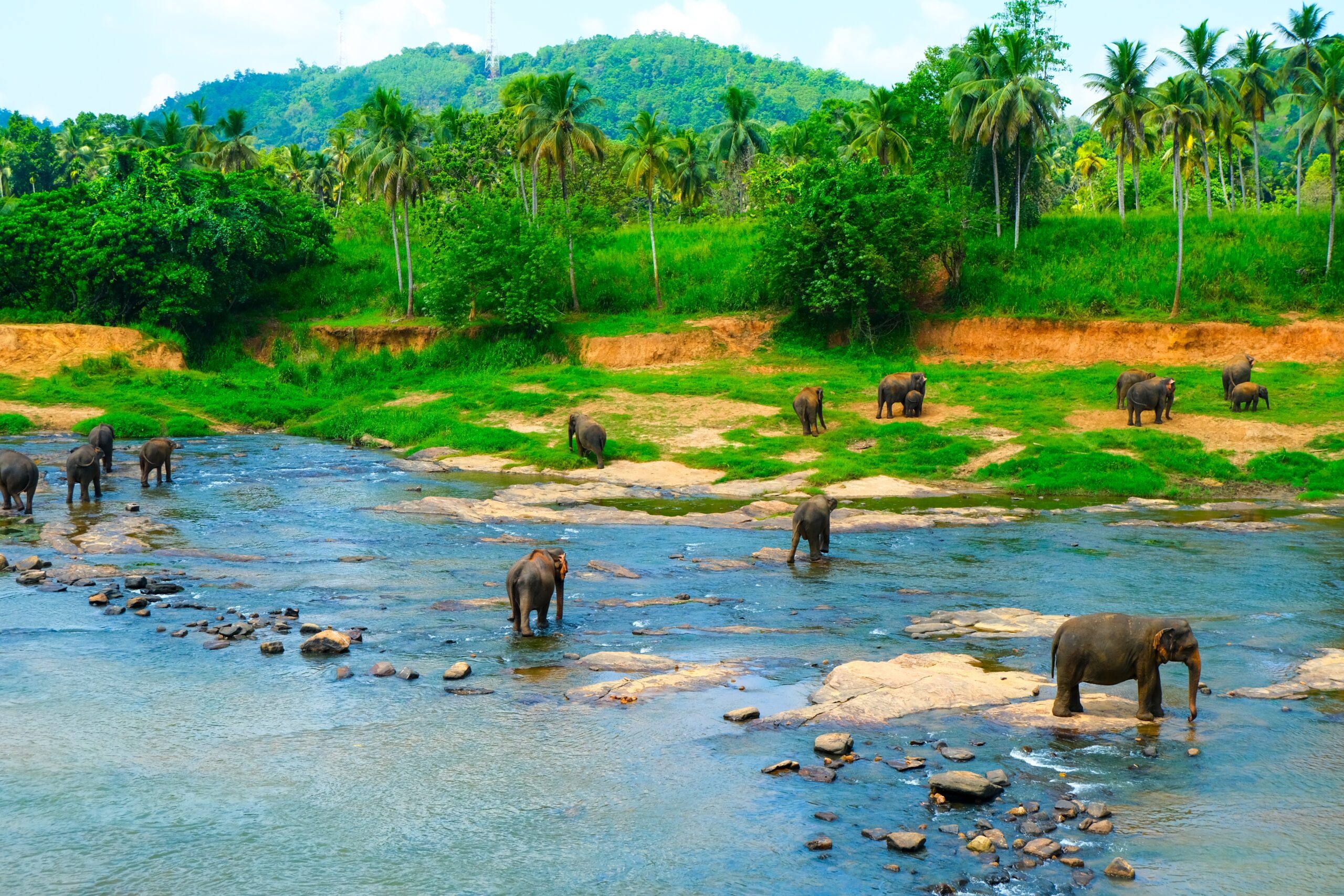 The most unique travel destinations travelers can’t stop talking about ...