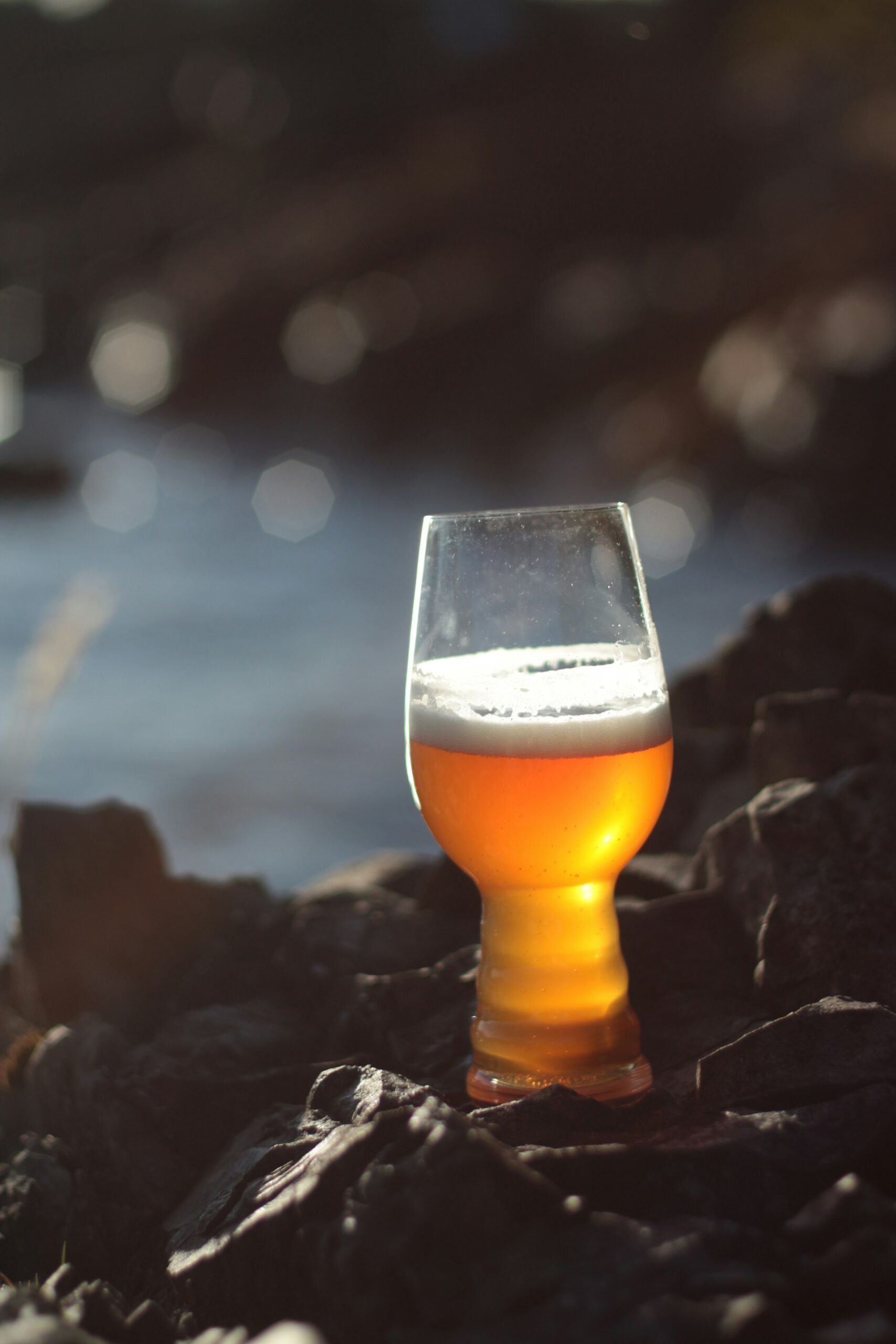 West Coast IPAs for Fans of Pine - The Manual