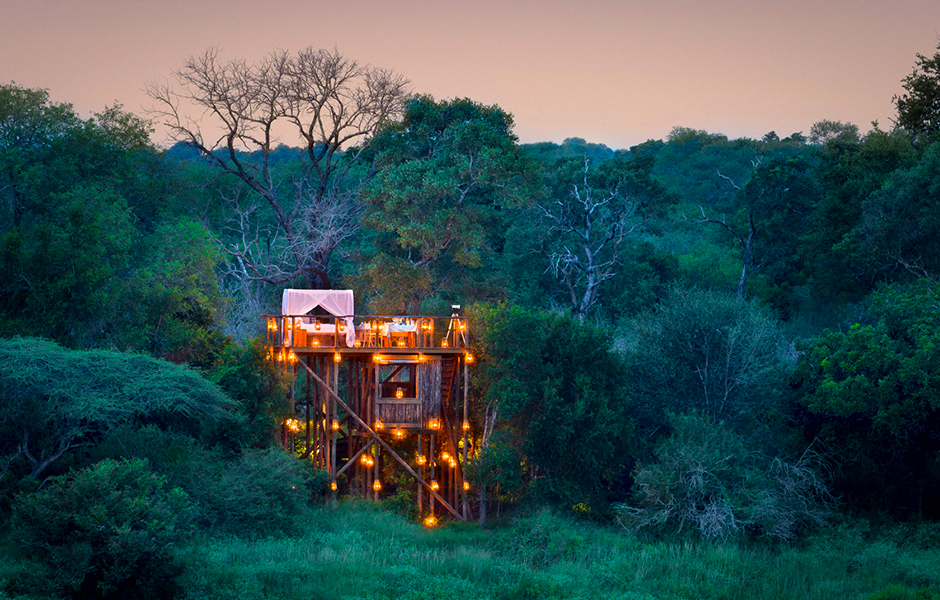 Sleeping Under the Stars: Tree House Hotels Around the World - The Manual