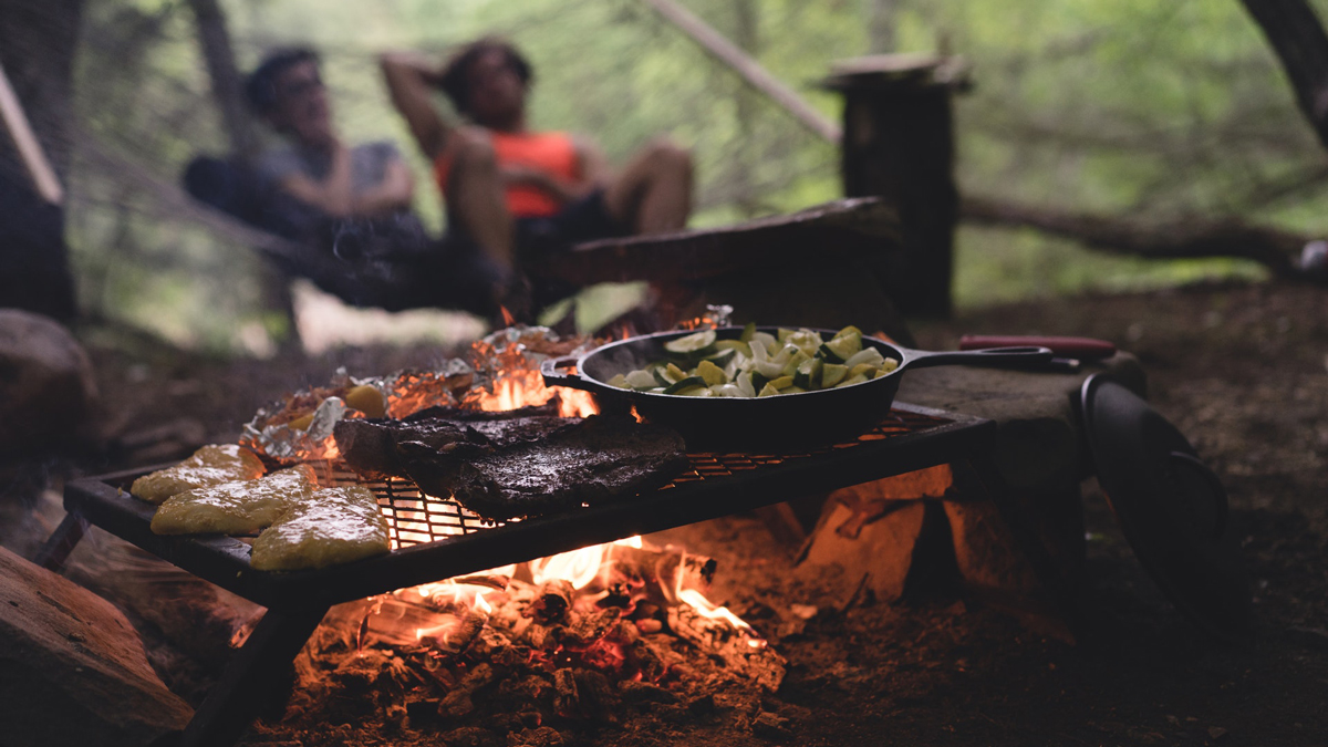 How to Get Rid of Mosquitoes: Tips for Keeping Pests Away - The Manual