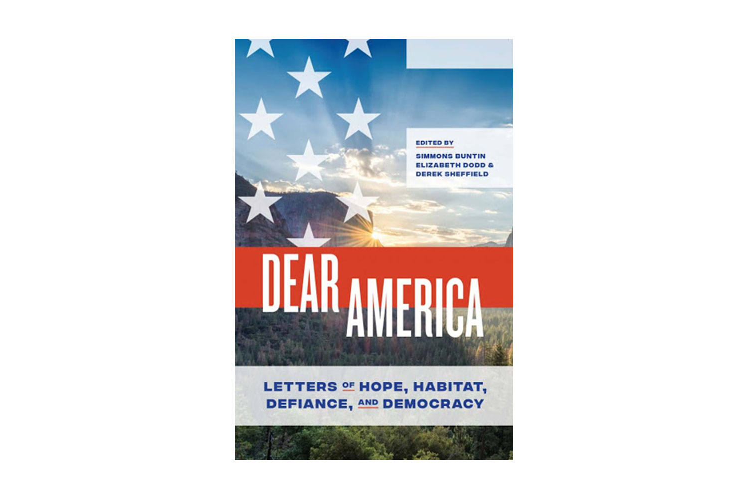 The Book You Need During the Dumpster Fire Year of 2020: Dear America ...