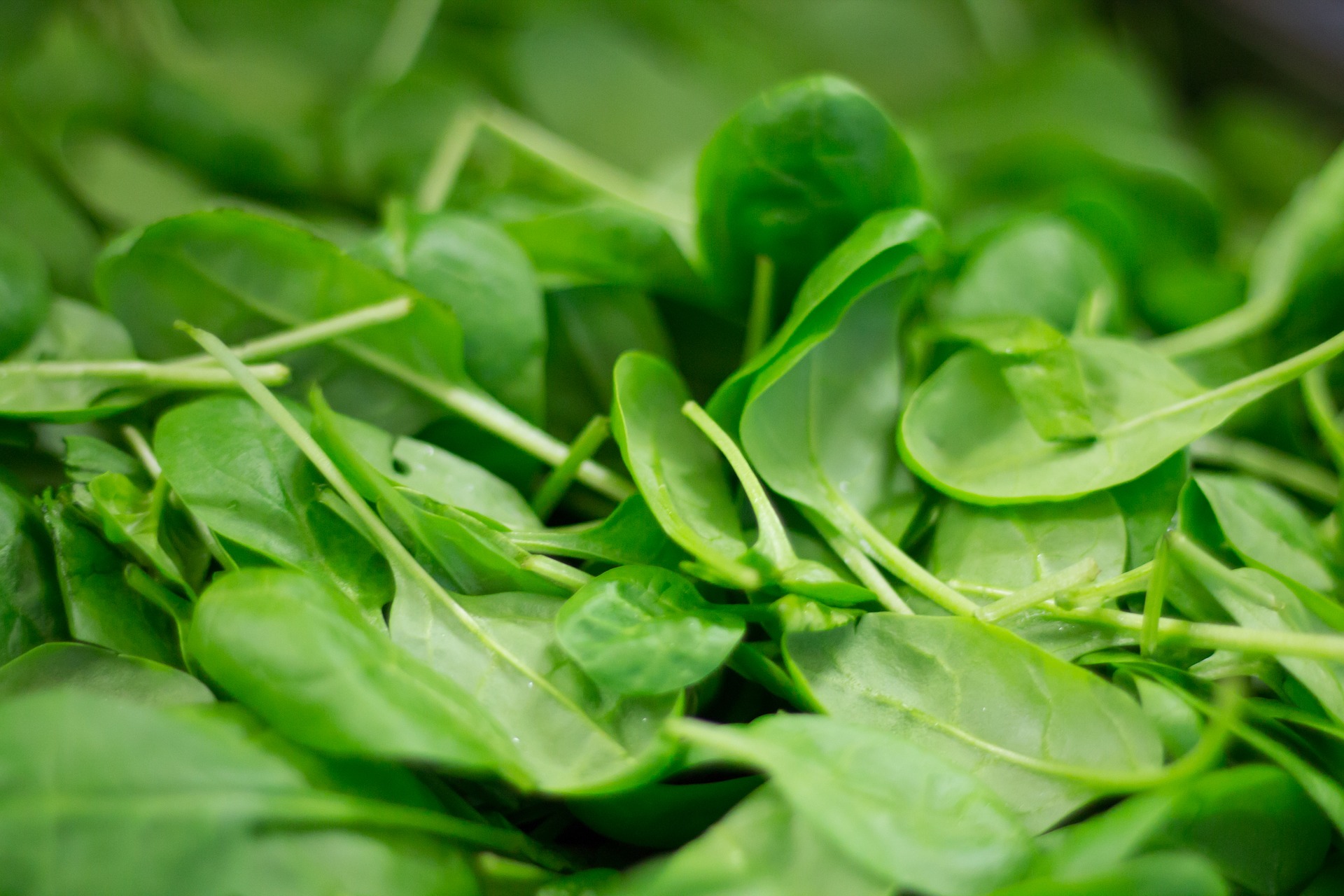 Here are 12 foods high in magnesium you should be eating - The Manual