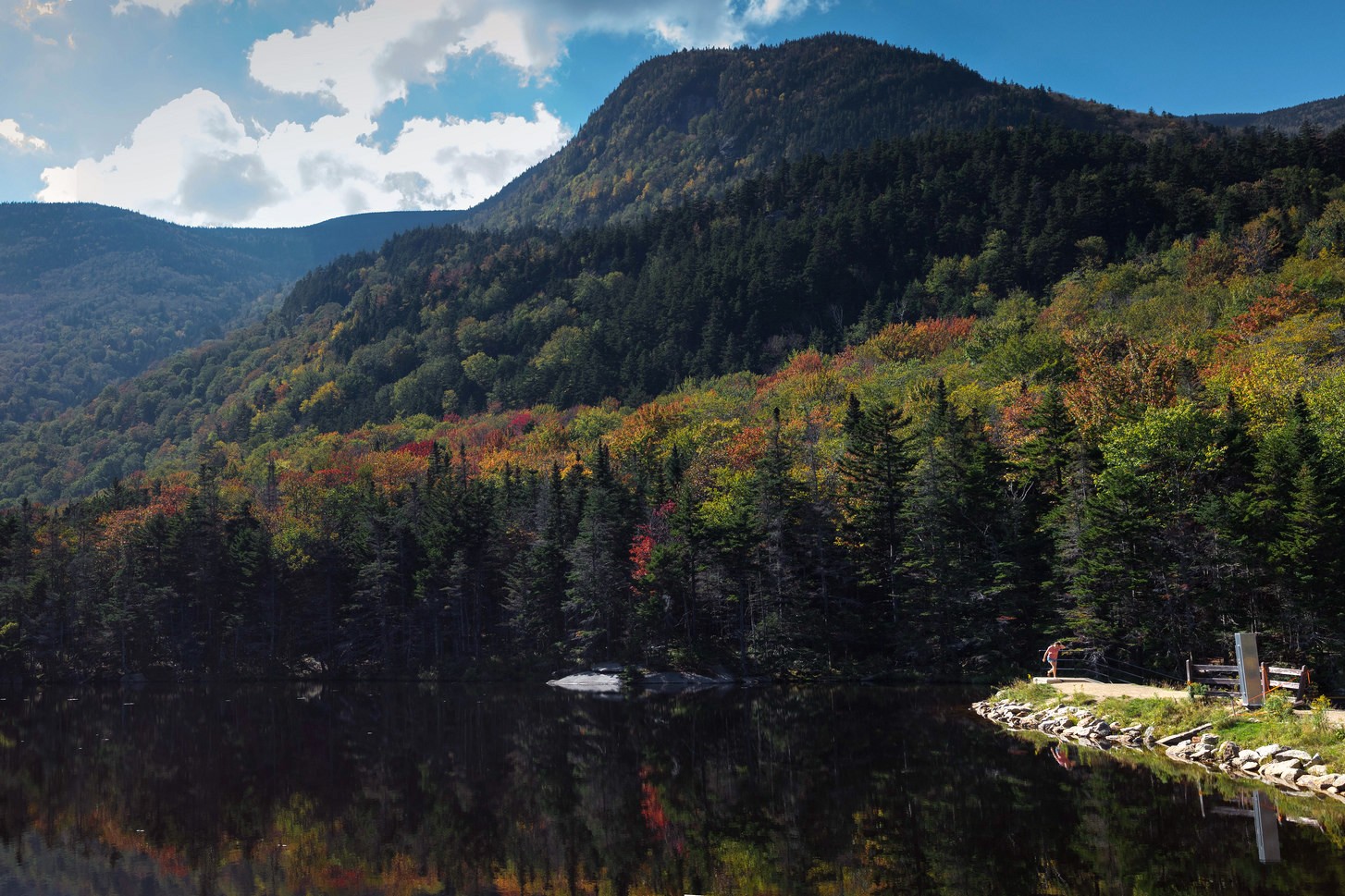 The 10 Best National Forests to Visit in America - The Manual
