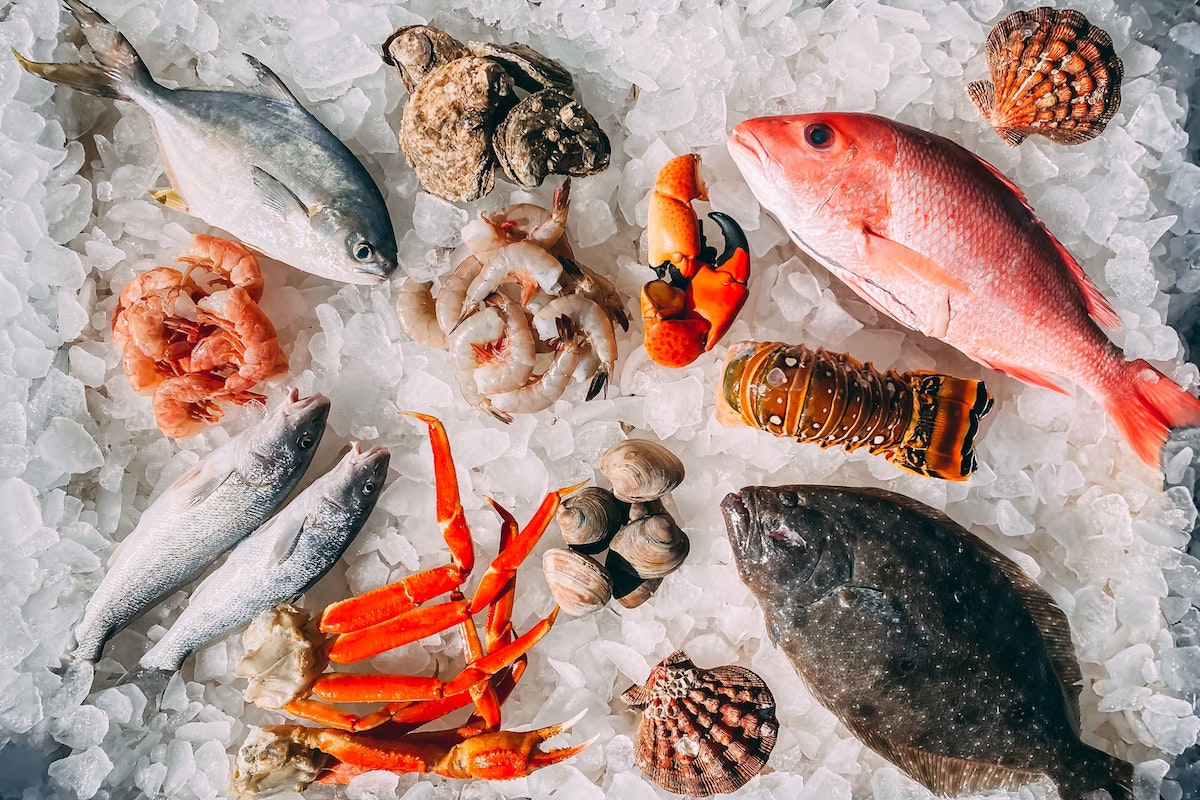 13 foods high in choline for better brain health - The Manual