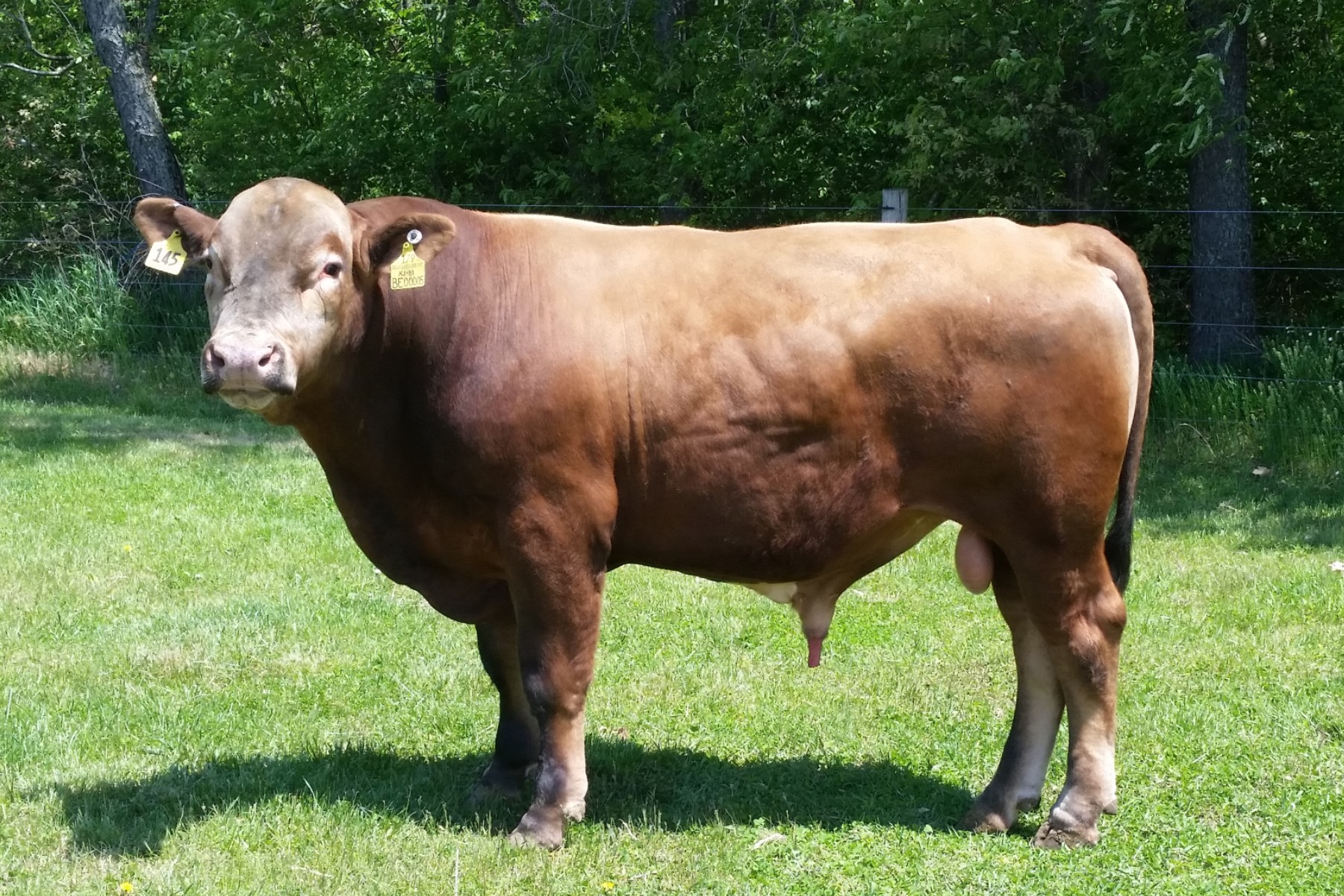 What to expect ordering from Force of Nature meats - The Manual