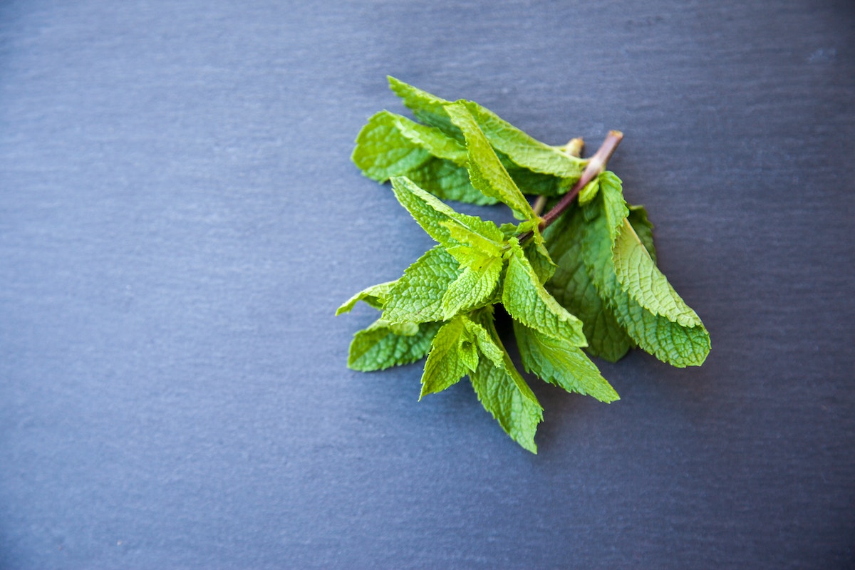 Why (and how) to add more peppermint to your diet - The Manual