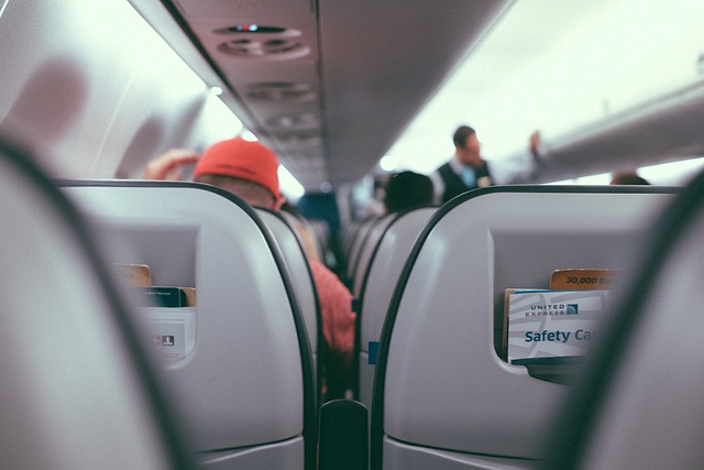 Main cabin vs basic economy: How to pick the best option for your next ...