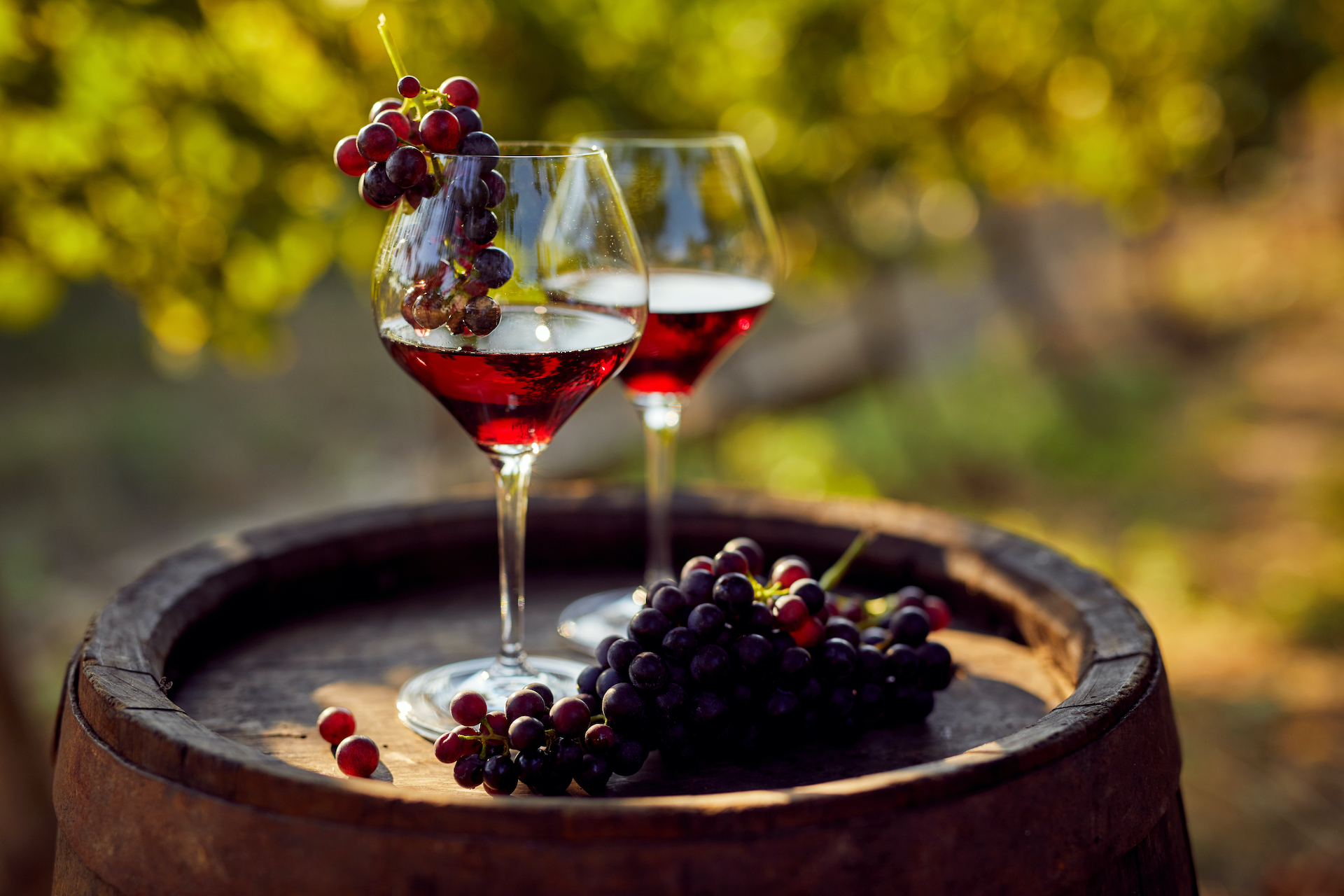 It's Time To Get To Know These Types of Red Wines - The Manual