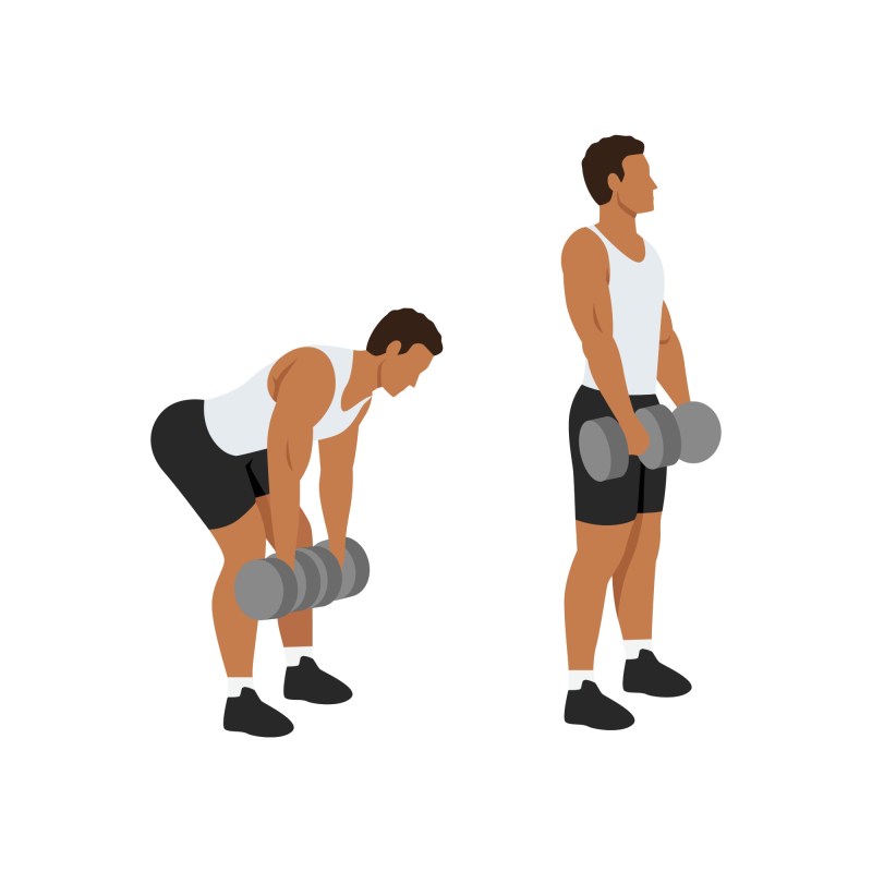How to do the dumbbell Romanian deadlift - The Manual How to do the dumbbell Romanian deadlift - The Manual