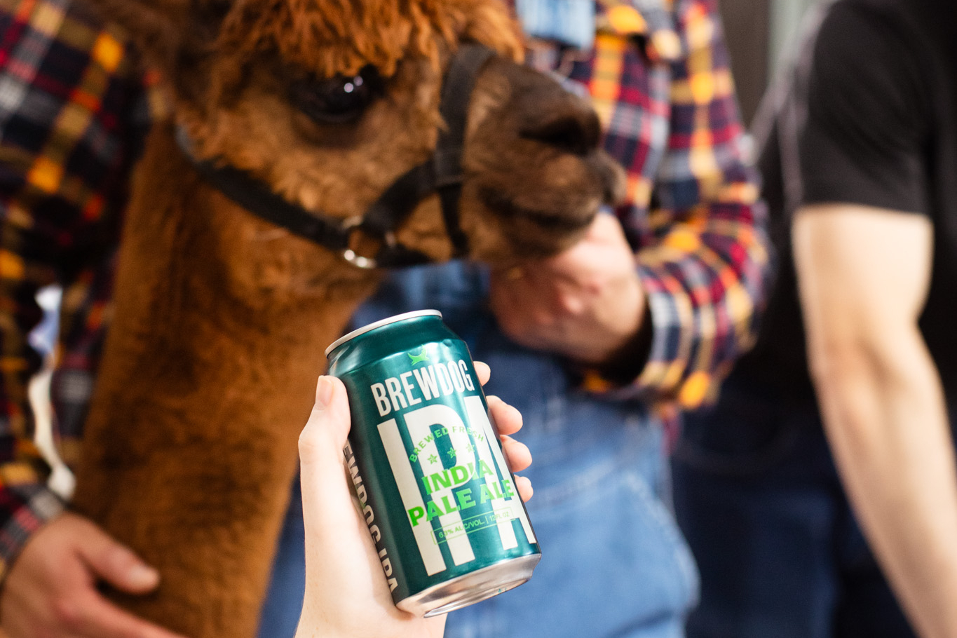 BrewDog drops new beer in time for National IPA Day - The Manual